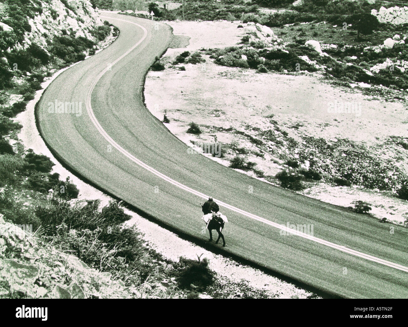 jackass with a rider on a country road on the island Crete Stock Photo ...