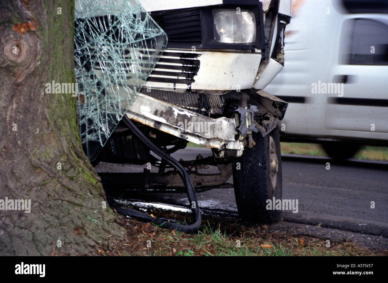 traffic accident frontal crash with a tree Stock Photo - Alamy