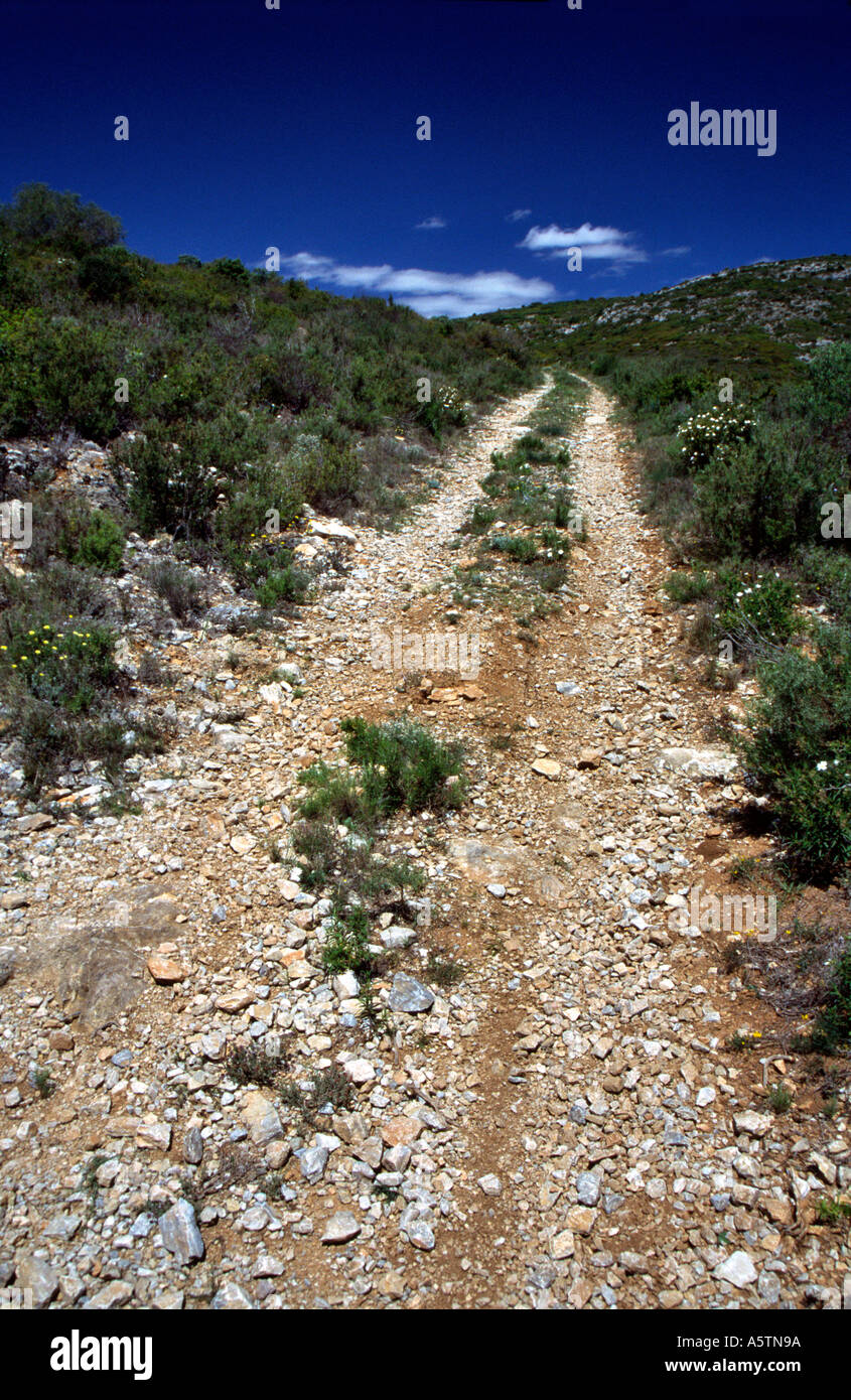 stony dirt track through mediterranean macchia landscape in southern ...