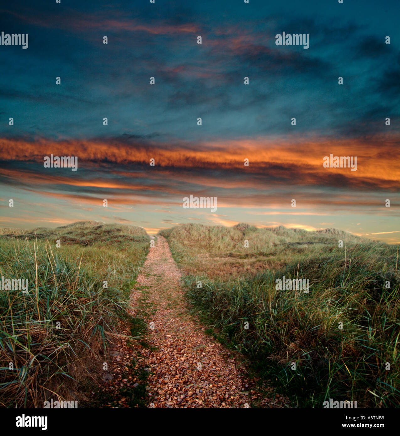 infinite foot path leading across dunes into the horizon Stock Photo ...