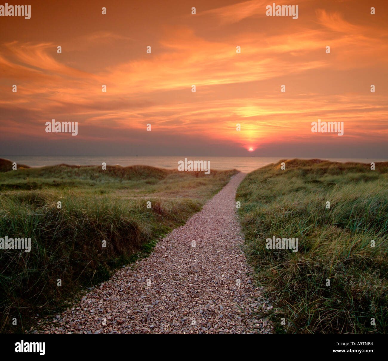 sunset behind an infinite foot path leading across dunes to the ocean ...