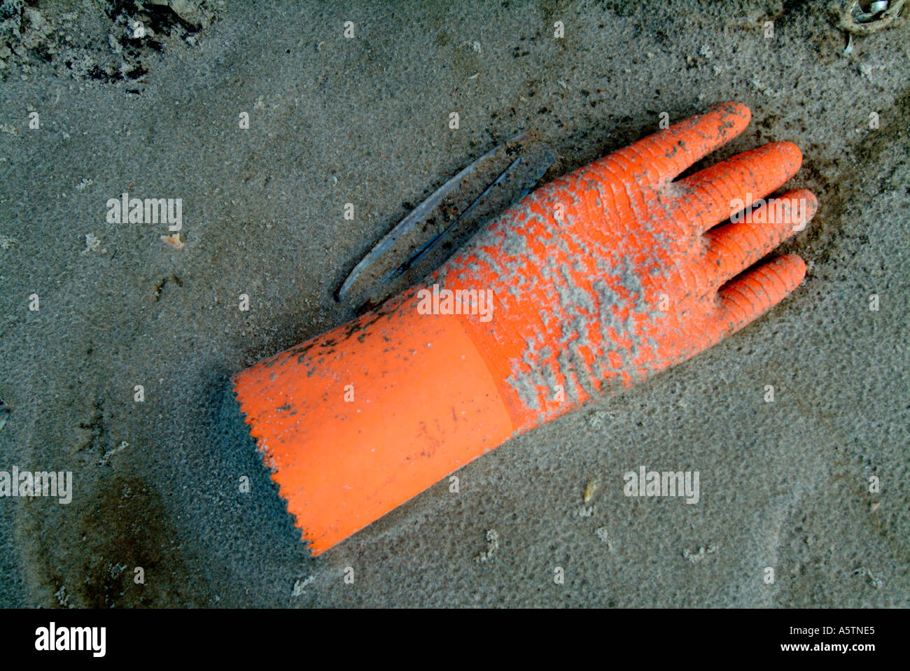 red rubber glove washed up on a beach Stock Photo - Alamy