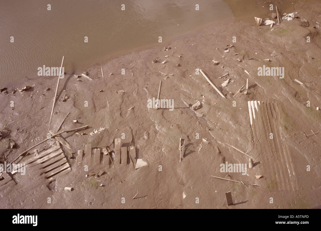 dumped pallets and other rubbish River Lea Bromley by Bow East London ...