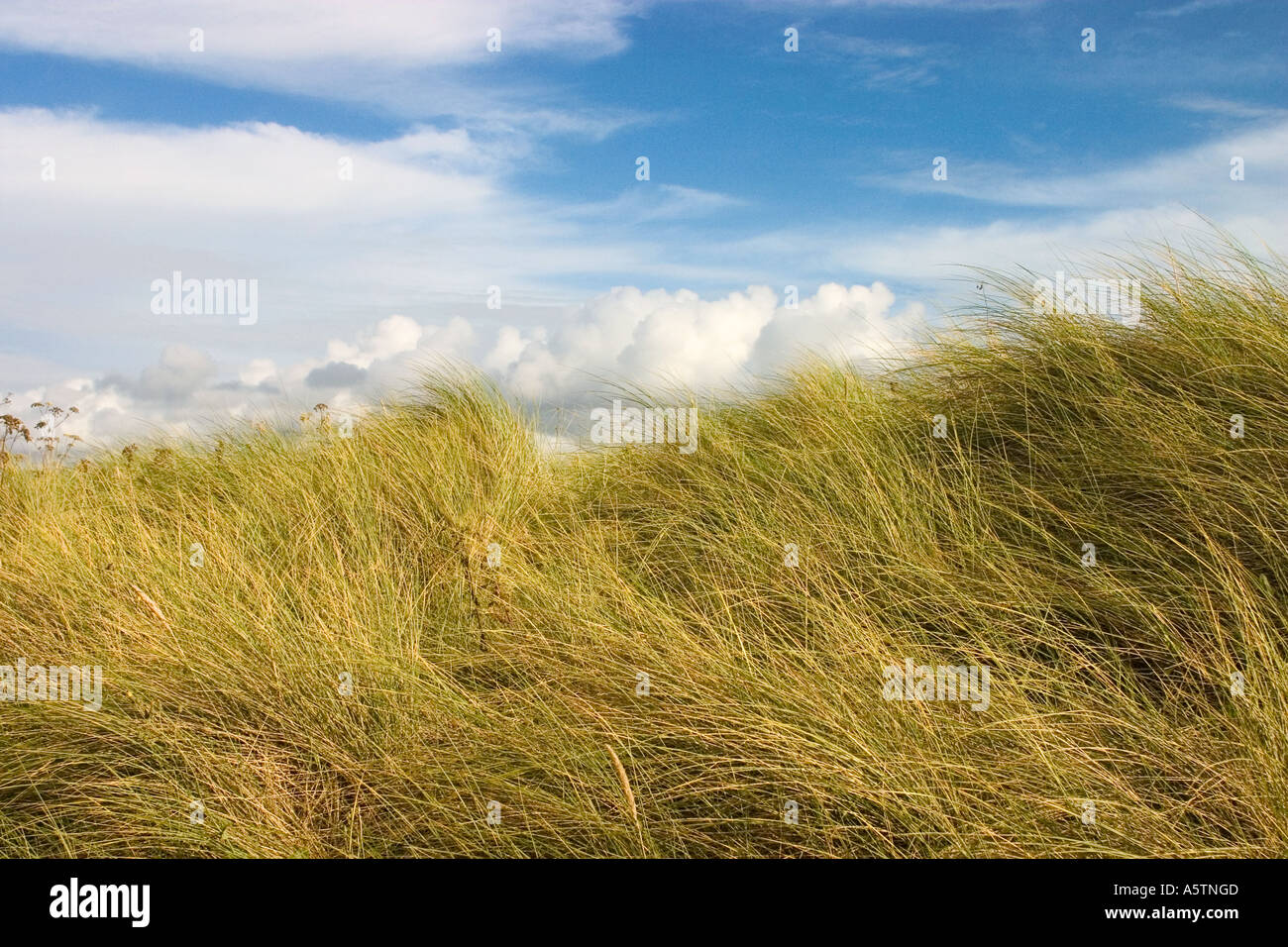 Breezy hill hi-res stock photography and images - Alamy
