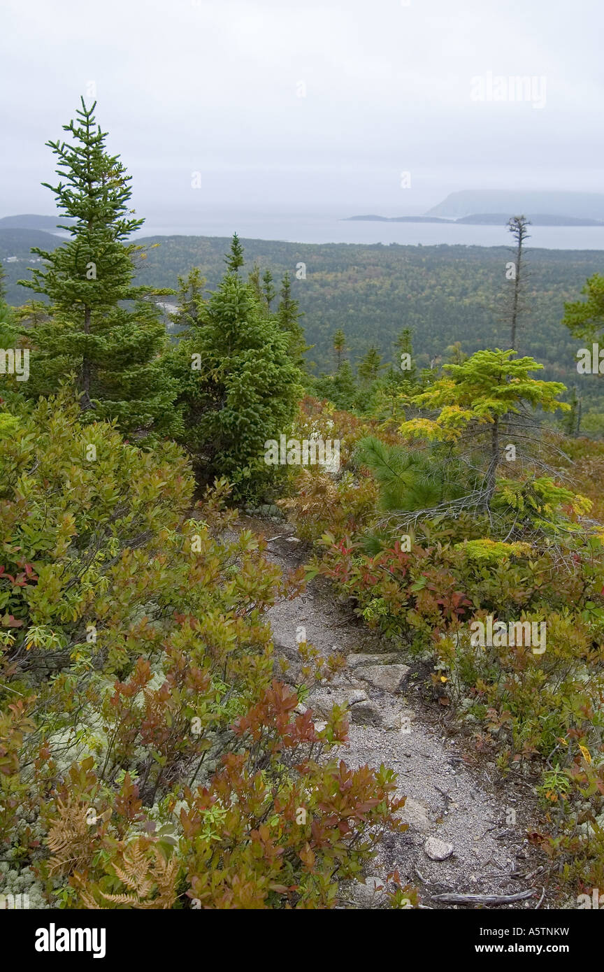 Broad Cove Mtn Trail Cape Breton Highlands NP Nova Scotia Canada Stock ...