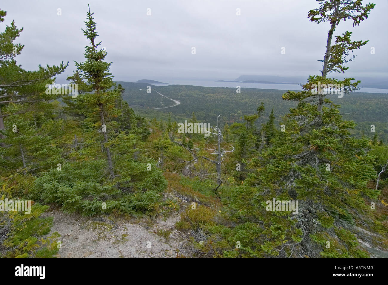 Broad Cove Mtn Trail Cape Breton Highlands NP Nova Scotia Canada Stock ...
