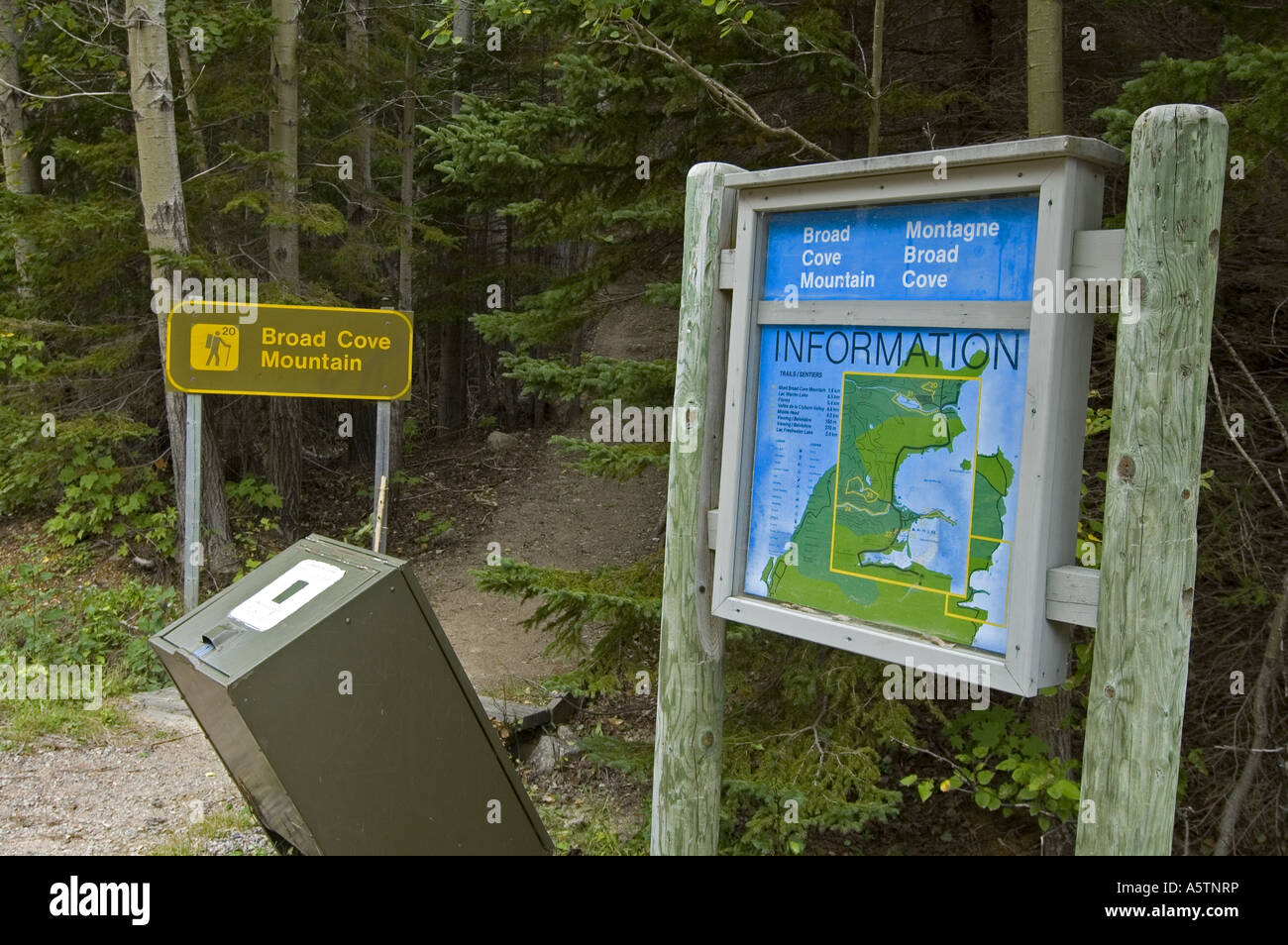 Broad Cove Mtn Trail Cape Breton Highlands NP Nova Scotia Canada Stock ...