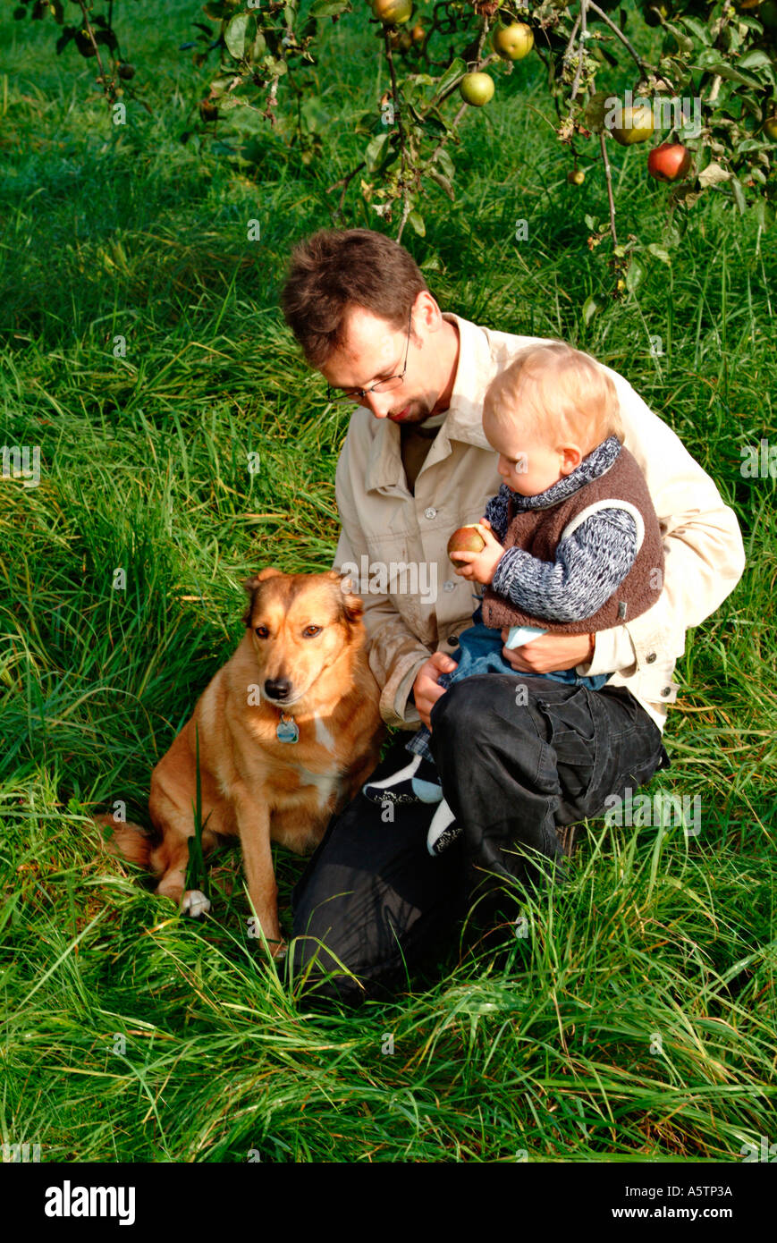 Dog meeting baby hi-res stock photography and images - Alamy