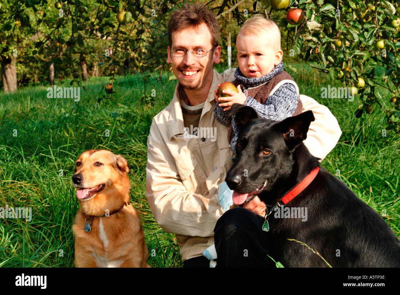 Boy with two dogs hi-res stock photography and images - Alamy
