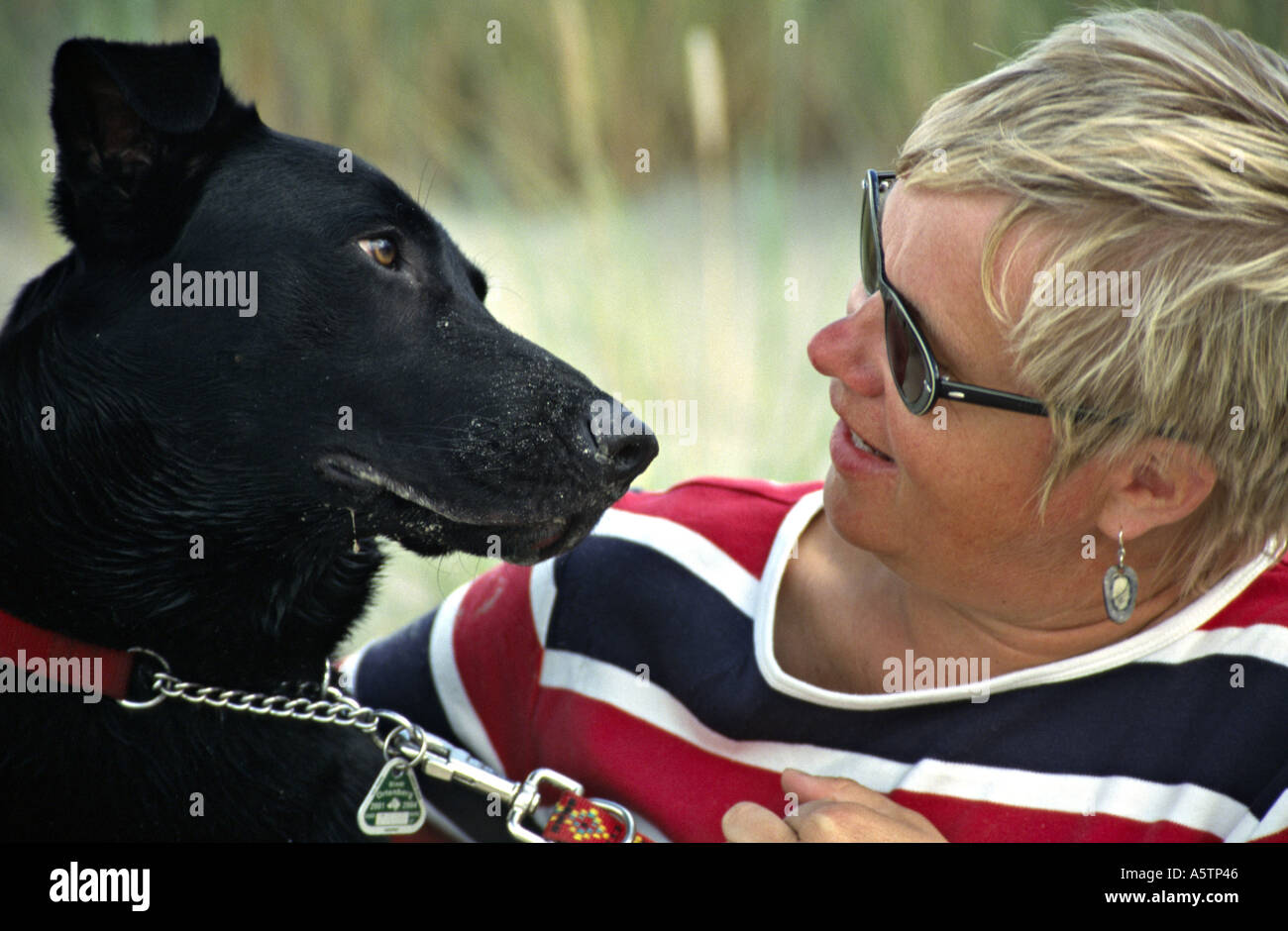 MR PR woman and a dog communicating Stock Photo - Alamy