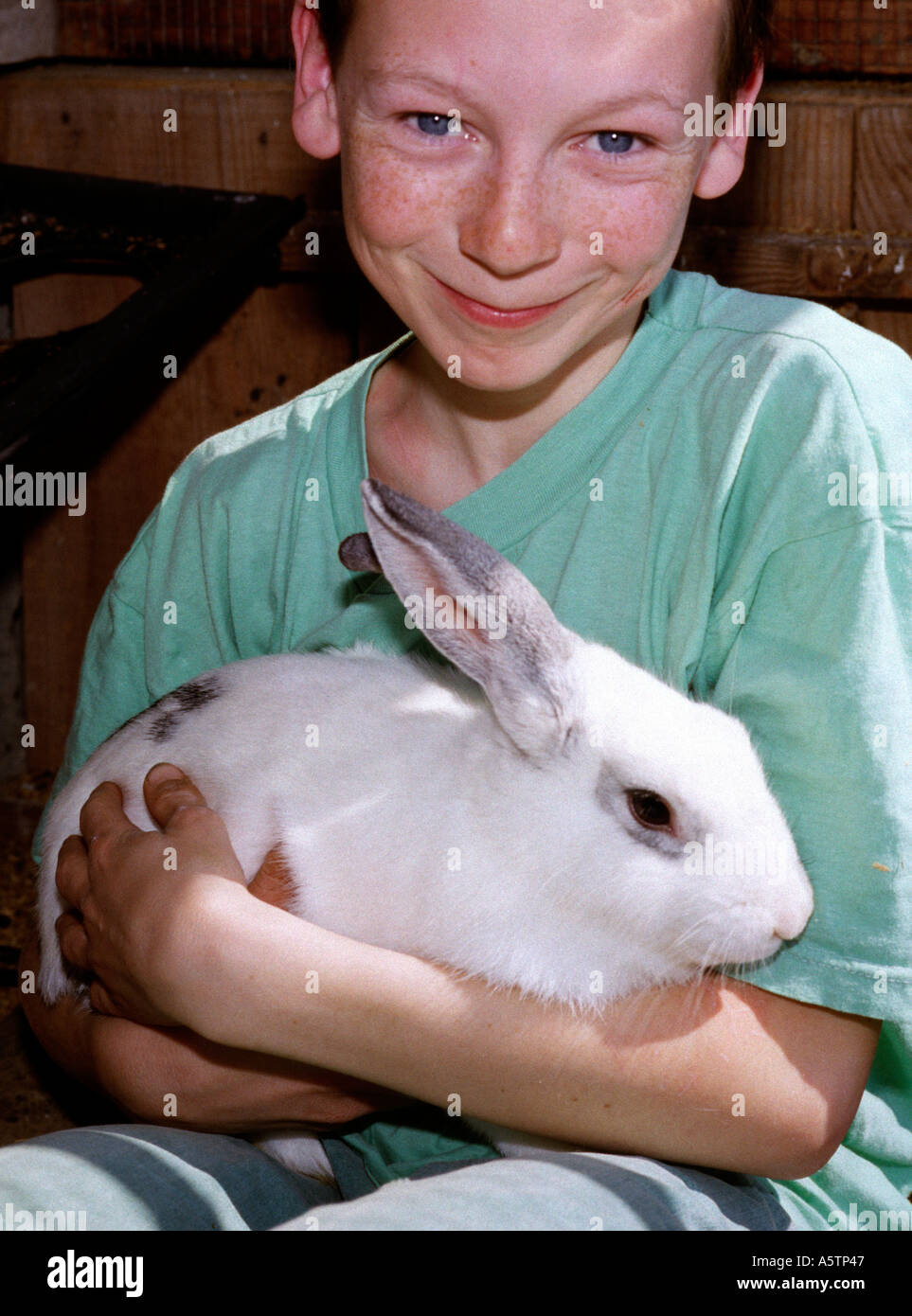 Mr bunny hi-res stock photography and images - Alamy