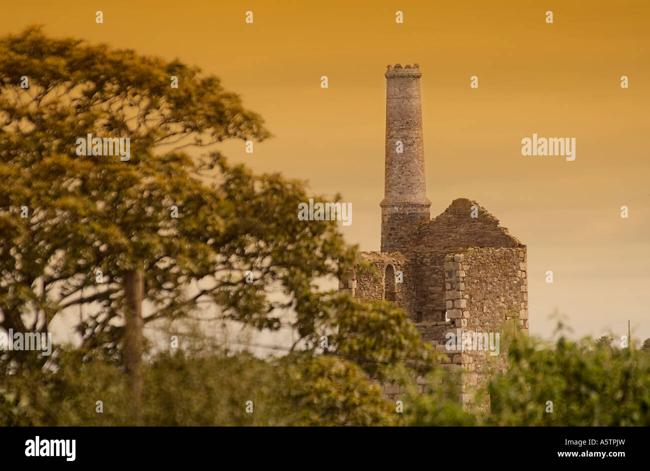Wheal Kitty mine, St Agnes Cornwall, England UK Stock Photo - Alamy