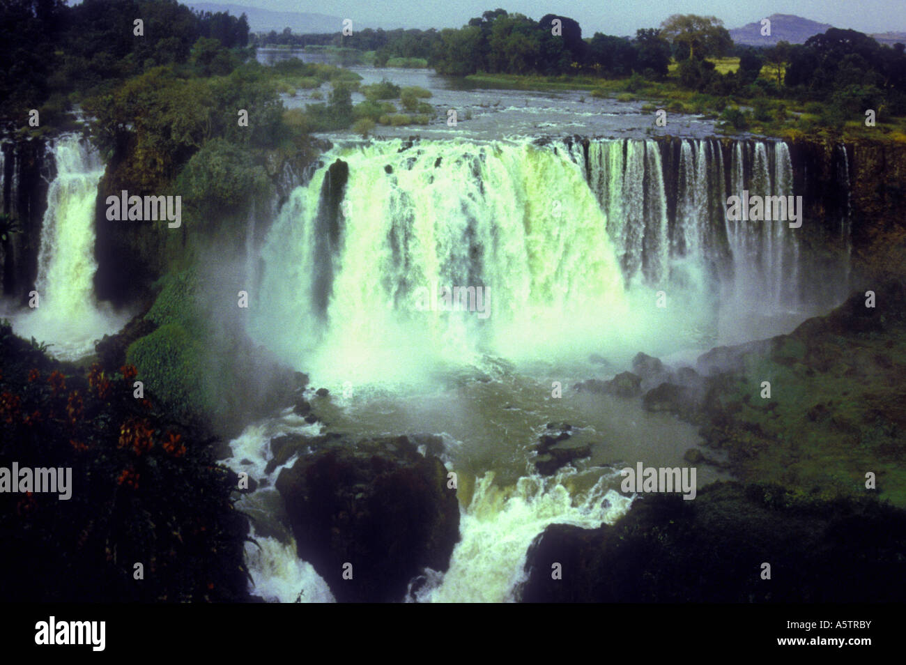 Blue Nile Falls known as Tis Abay or Tis Isat Ethiopia Stock Photo - Alamy