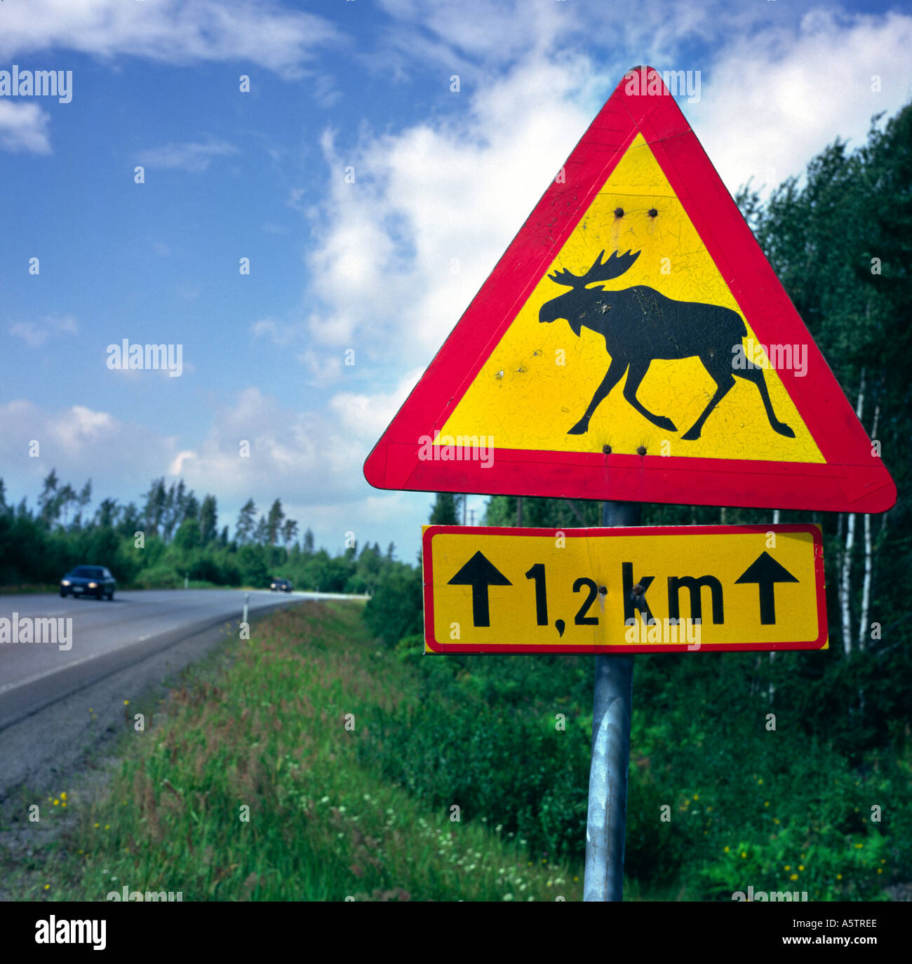 Moose warning sign scandinavia europe hi-res stock photography and ...