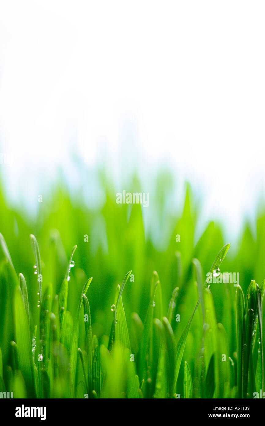 Outdoor space natural grass hi-res stock photography and images - Alamy