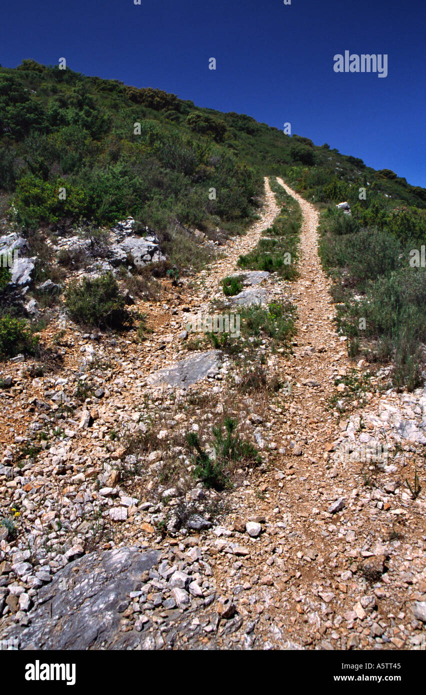 stony dirt track through mediterranean macchia landscape in southern ...