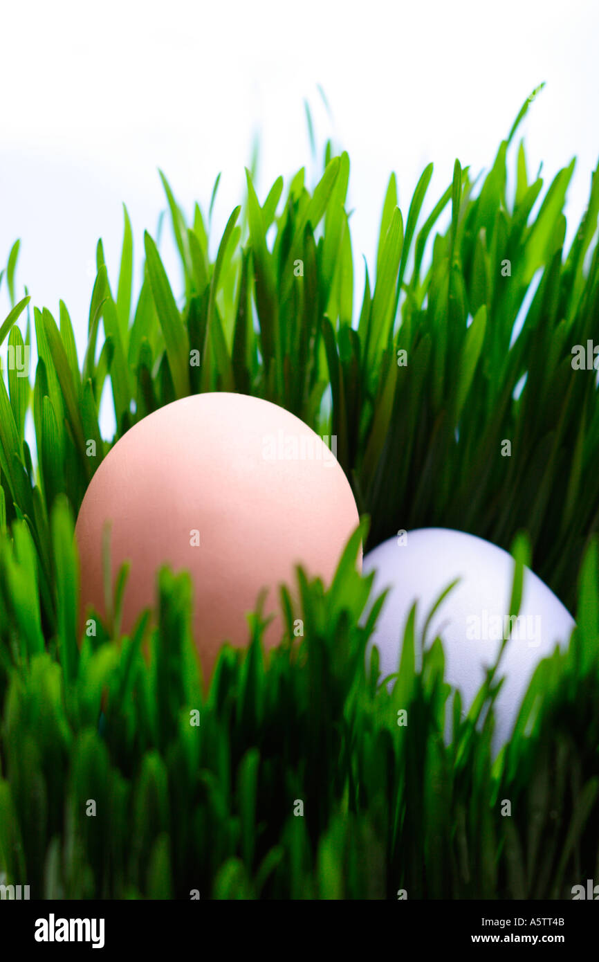Easter Eggs in Grass Stock Photo - Alamy