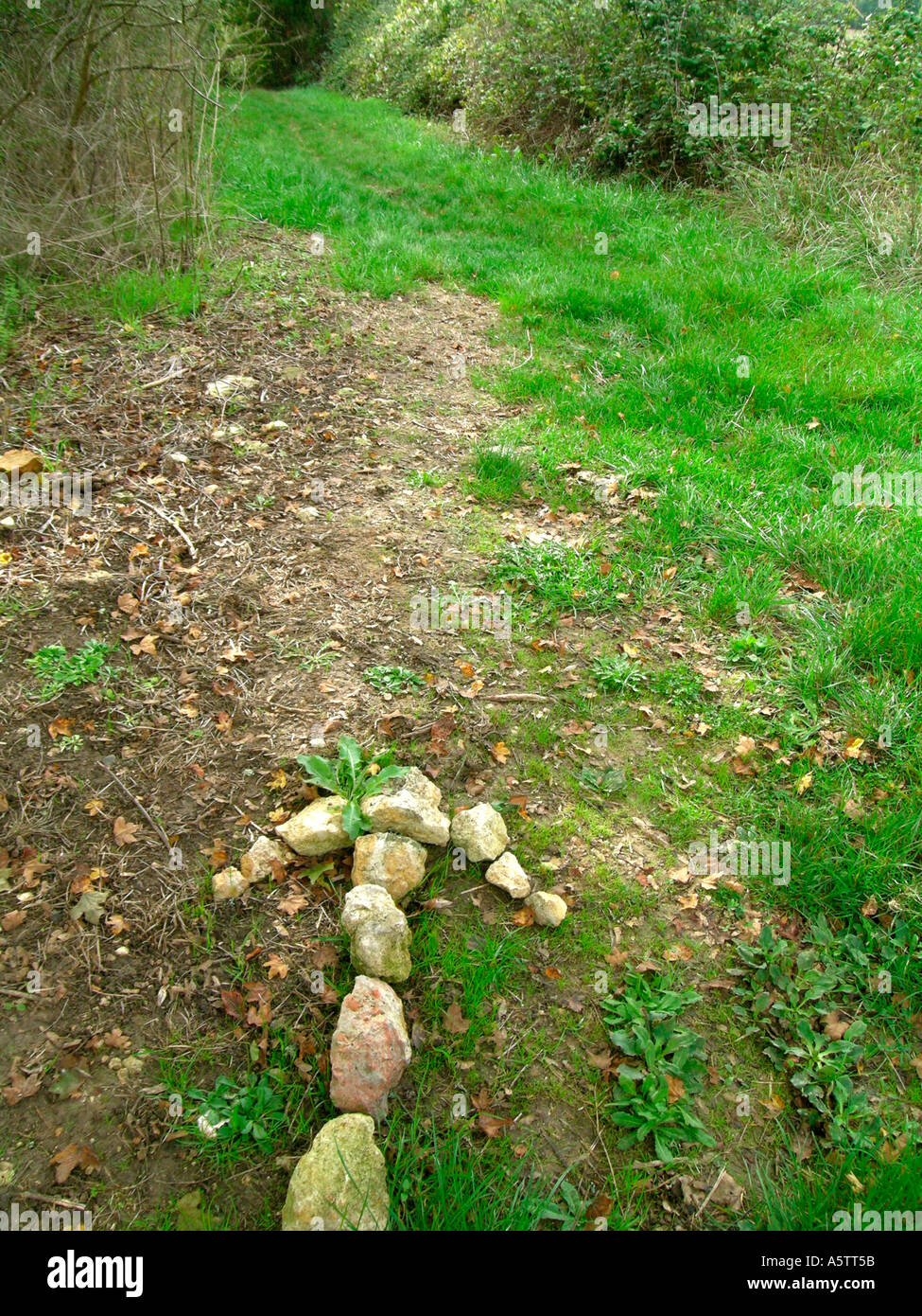 Narrow path made stones hi-res stock photography and images - Alamy