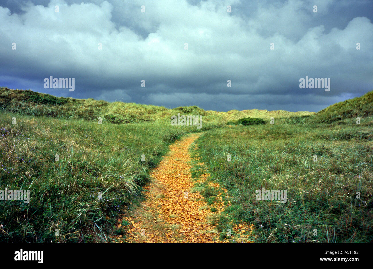 stormy clouds over a foot path in dunes at the beach of North Sea in ...