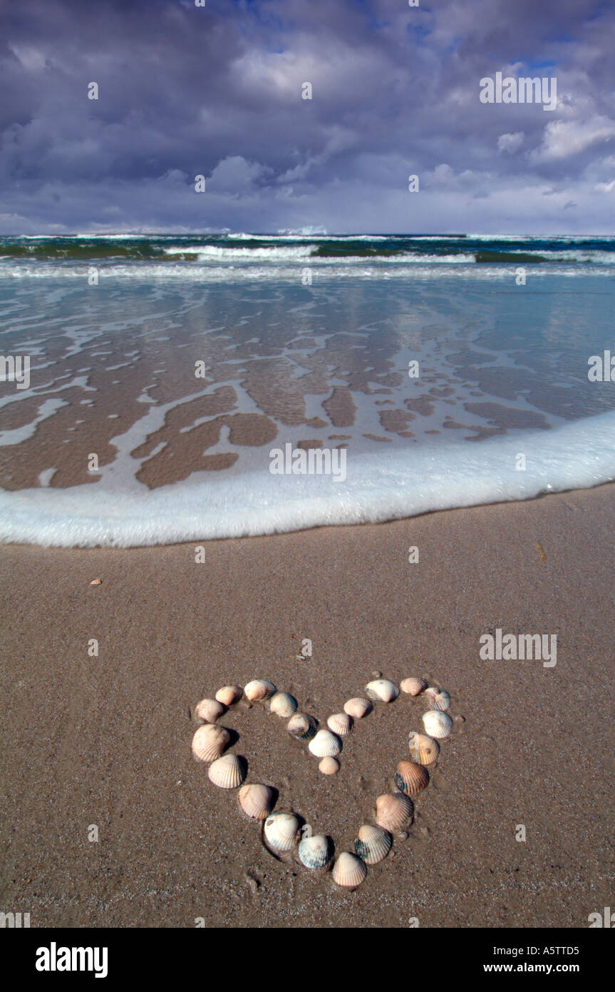 heart made of mussels in sand on the beach of the North Sea in Denmark ...