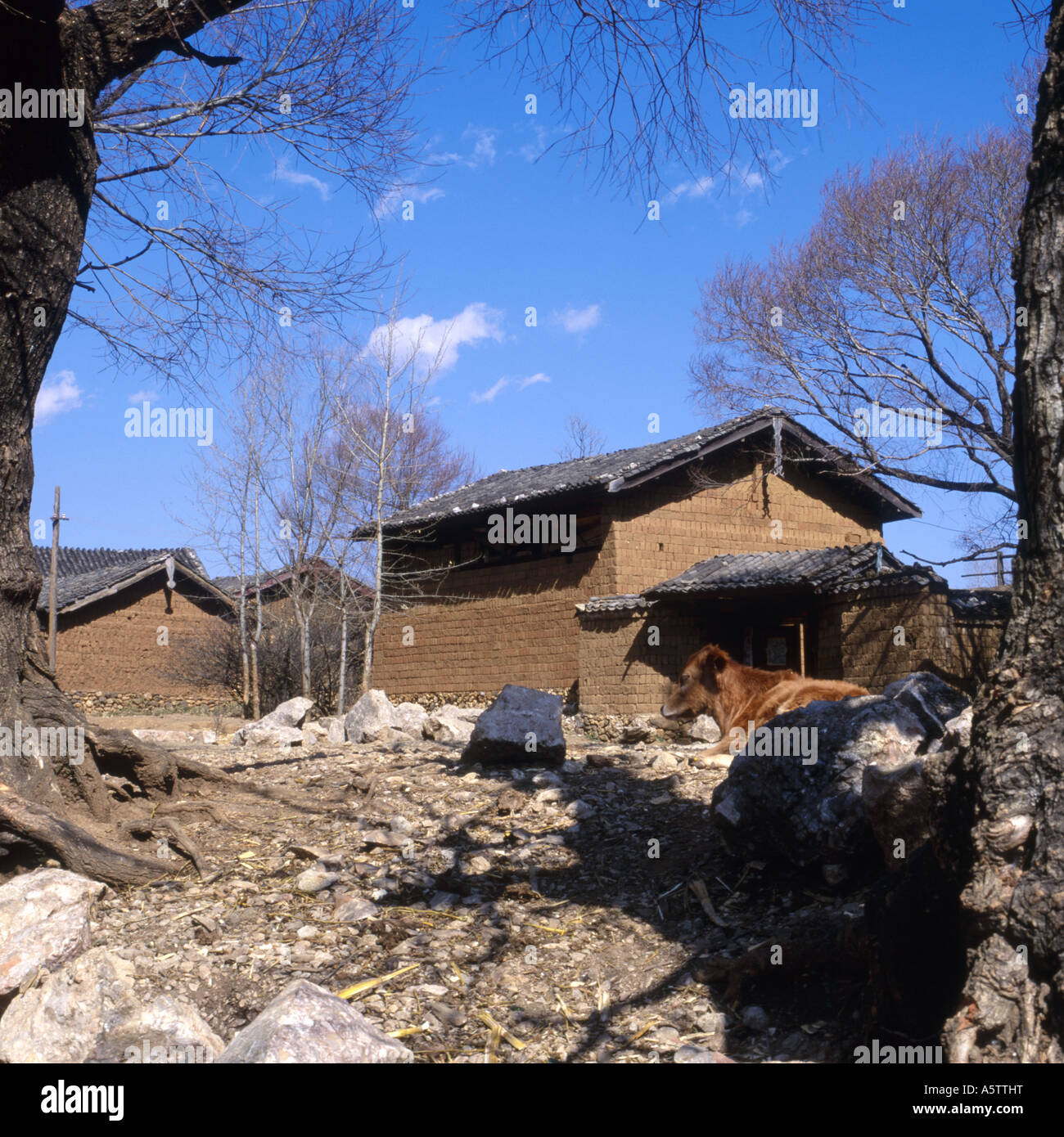 Brick And Mud House China High Resolution Stock Photography and Images ...