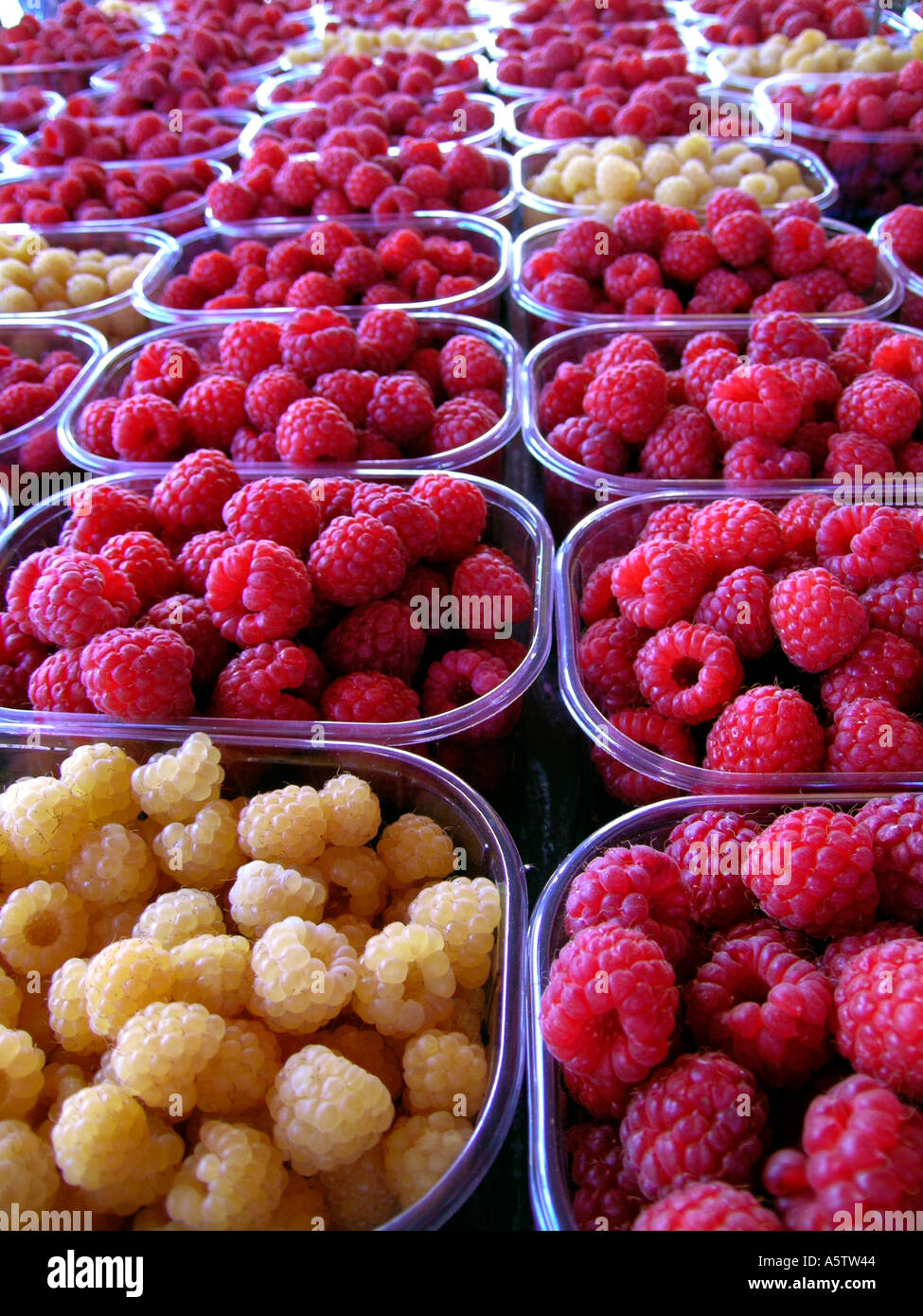red and white rasberries in boxes for sale Stock Photo - Alamy