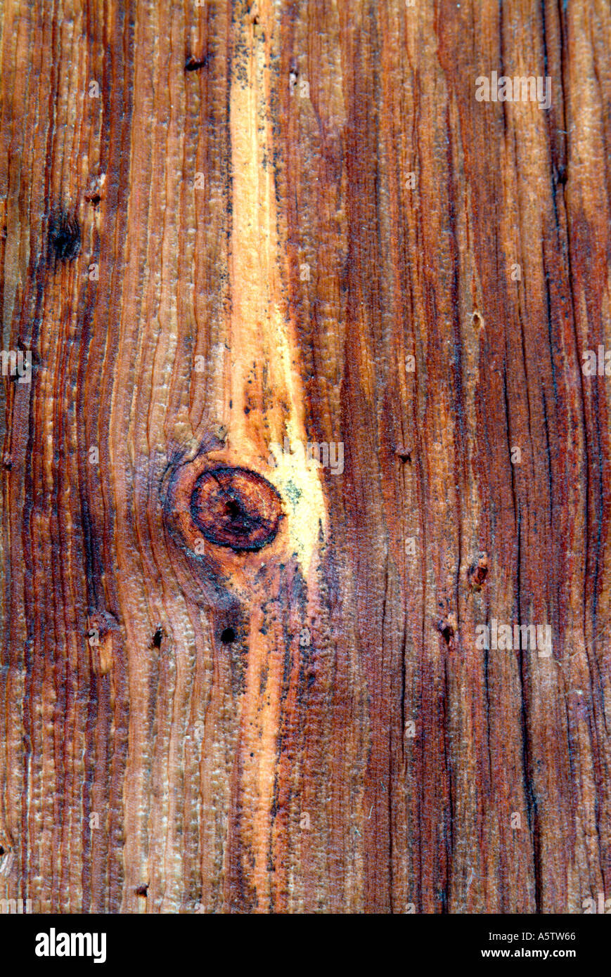 old weather beaten wood with knothole Stock Photo - Alamy