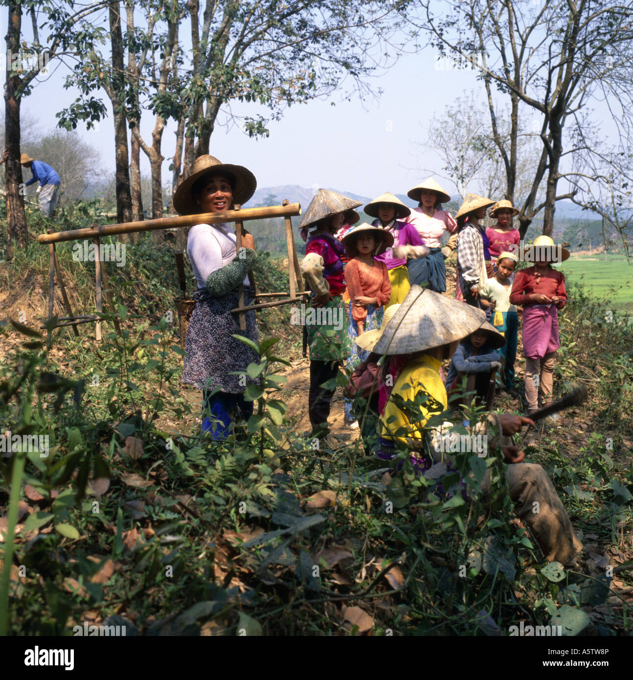 Near jinghong hi-res stock photography and images - Alamy