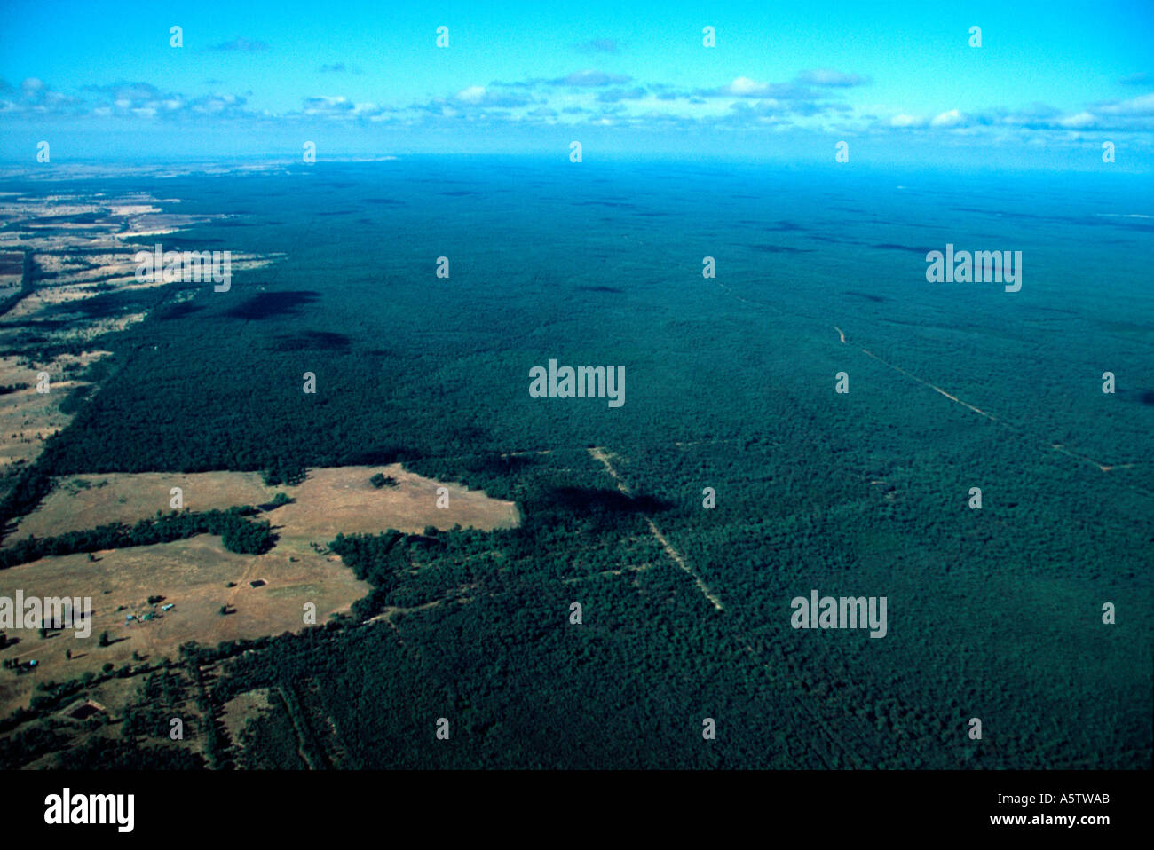 Pilliga hi-res stock photography and images - Alamy