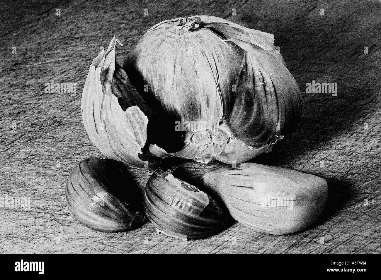 Old style photograph of garlic in Black and white Stock Photo - Alamy