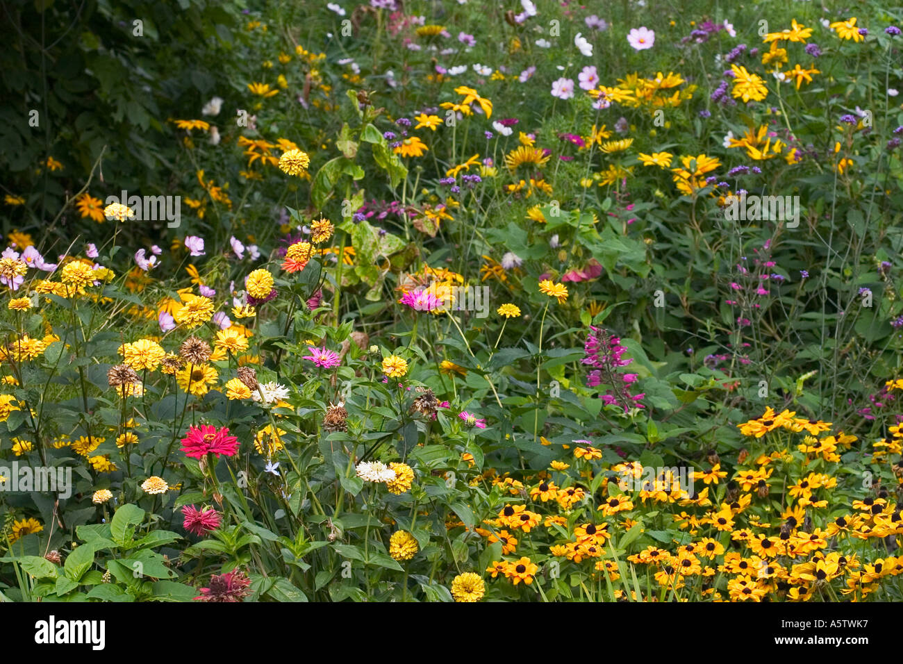 Cromatic hi-res stock photography and images - Alamy