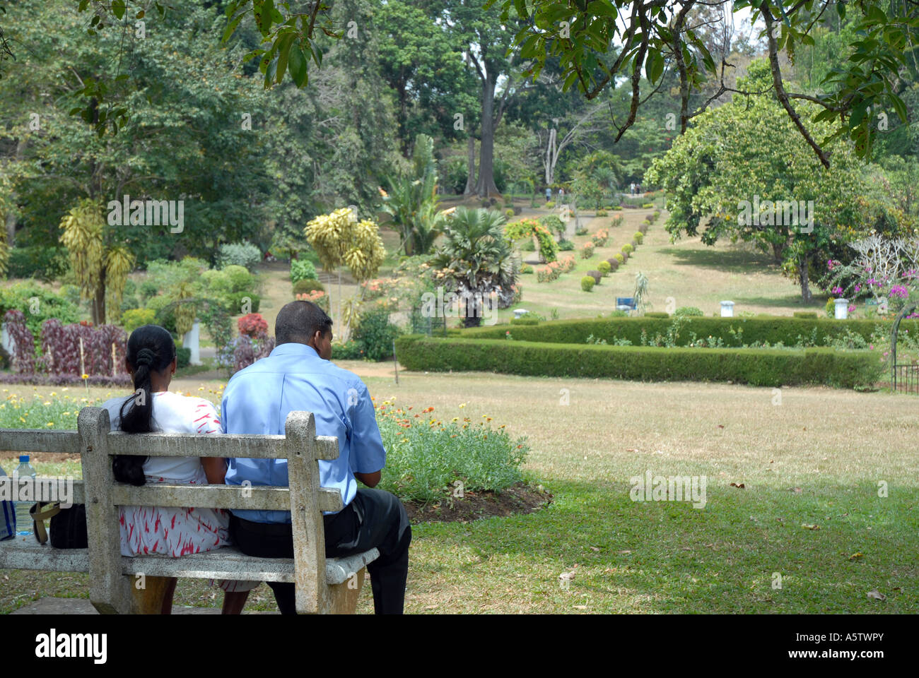 Sri Lankan couple on bench in Botanical Gardens, Kandy Stock Photo - Alamy