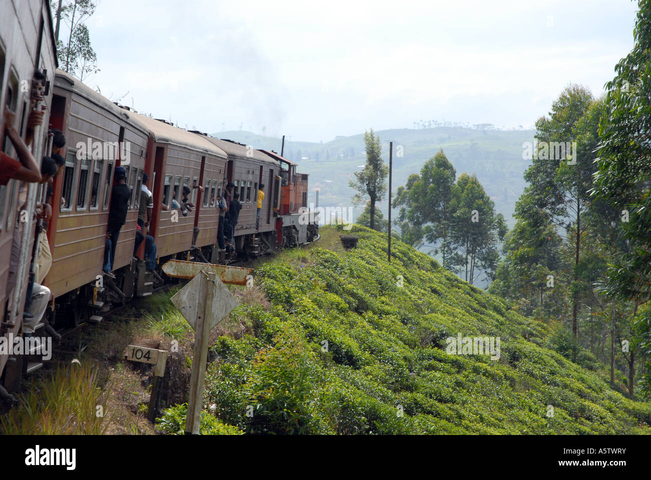 Train between Kandy and Nuwara Eliya, Sri Lanka Stock Photo - Alamy