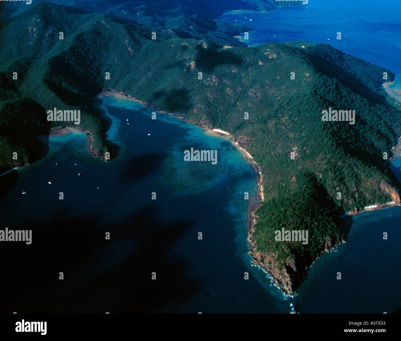 Famous butterfly hi-res stock photography and images - Alamy