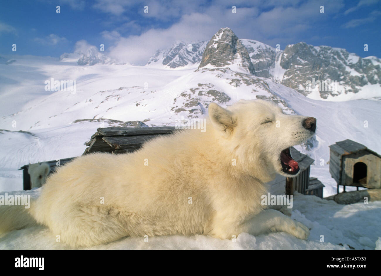 Simony hut hi-res stock photography and images - Alamy