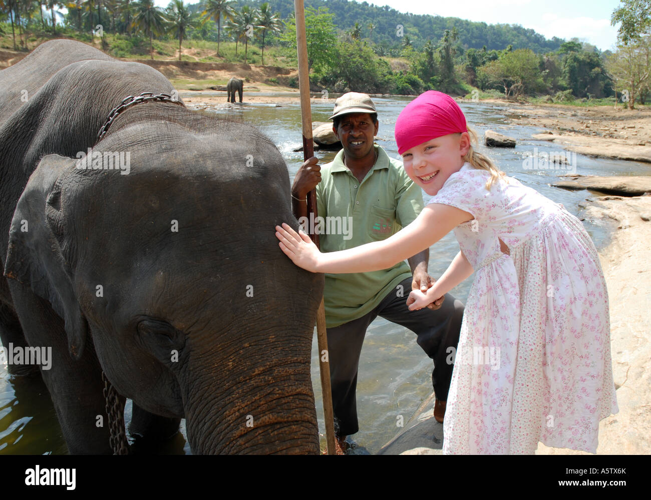 Lucy meeting an elephant, Pinnawela Orphanage, Kandy, Sri Lanka Stock ...