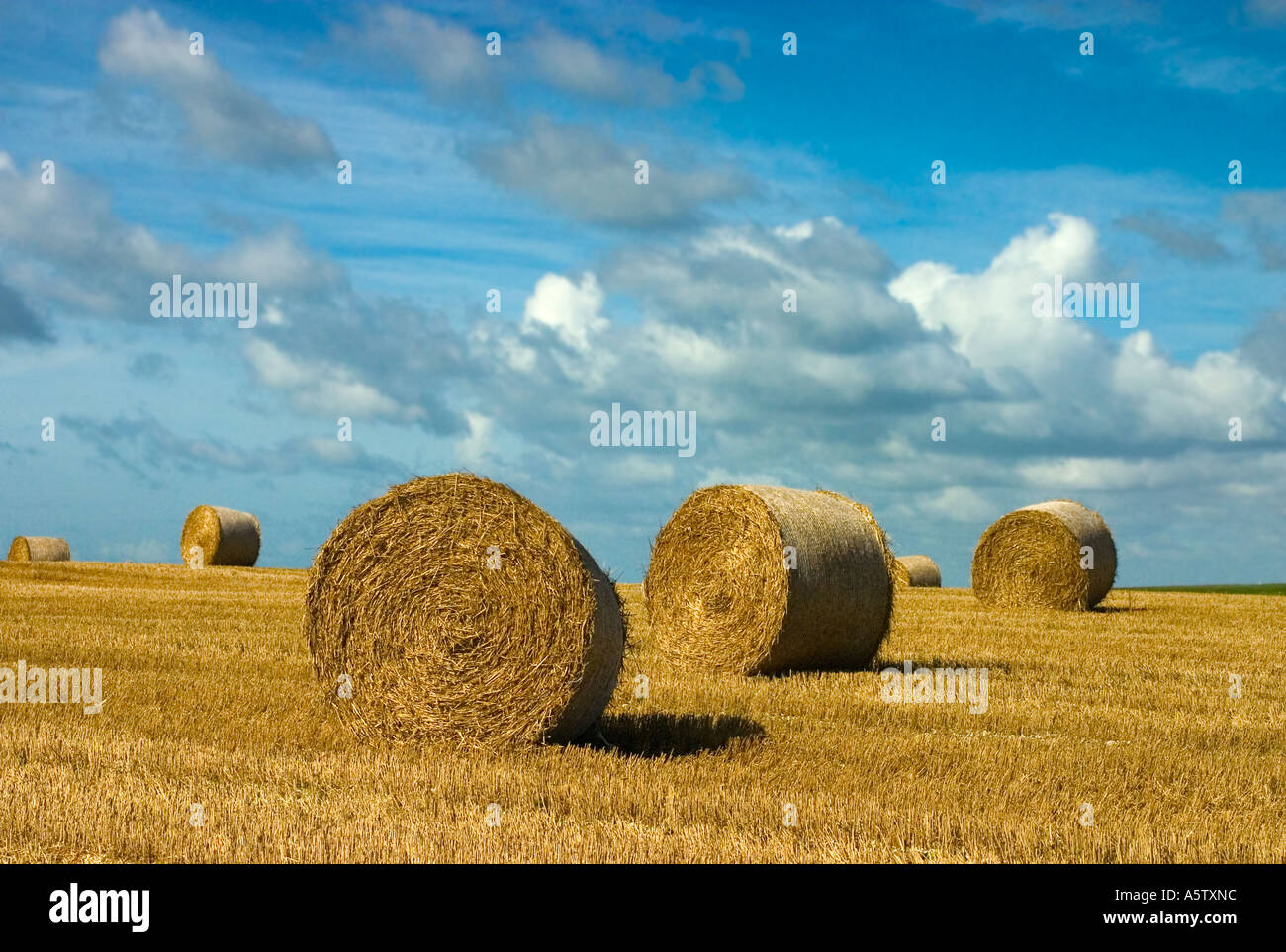 Landscape with a haystack hi-res stock photography and images - Alamy
