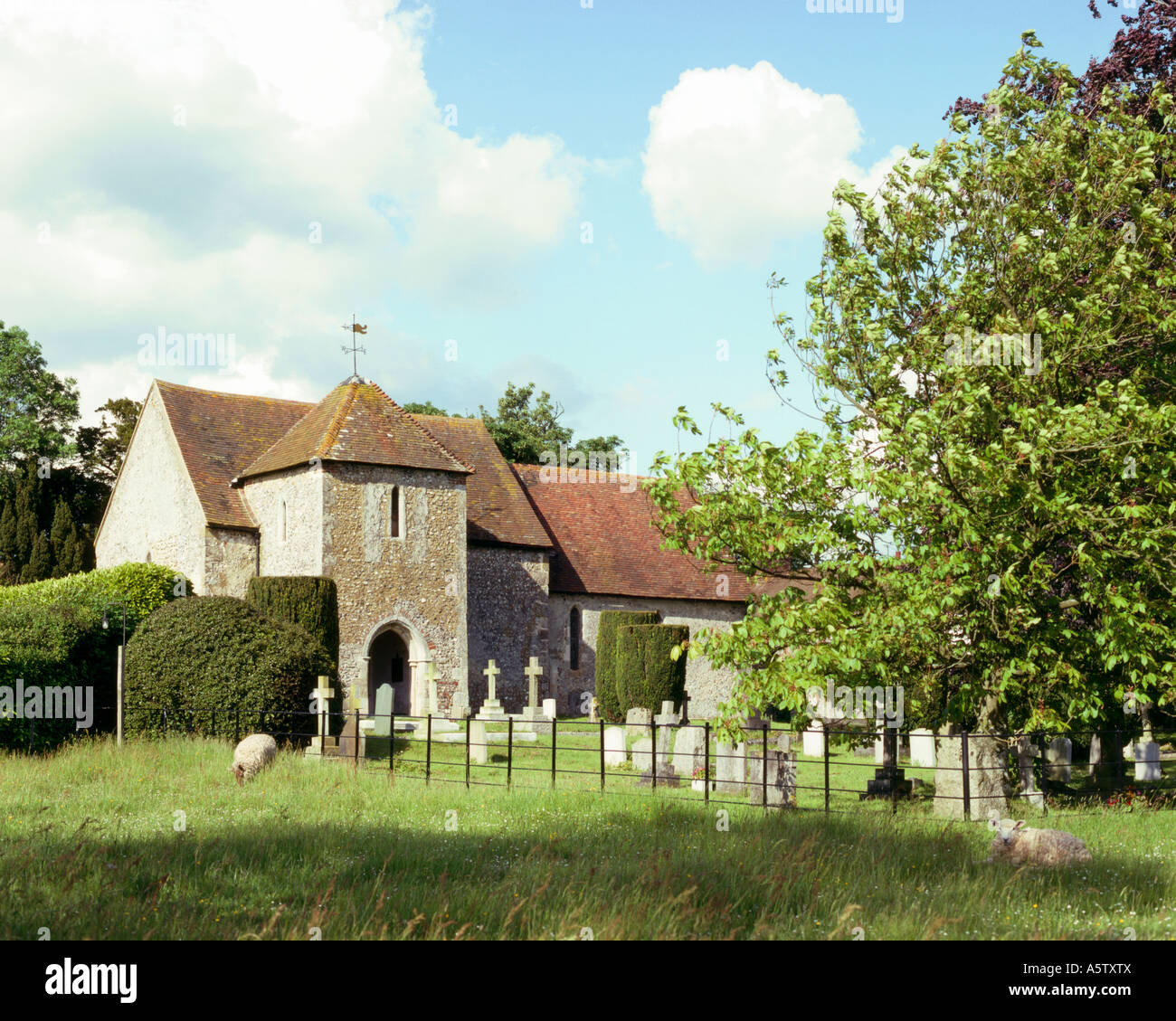 Traditional rural English church,sheep and lambs in the surrounding ...