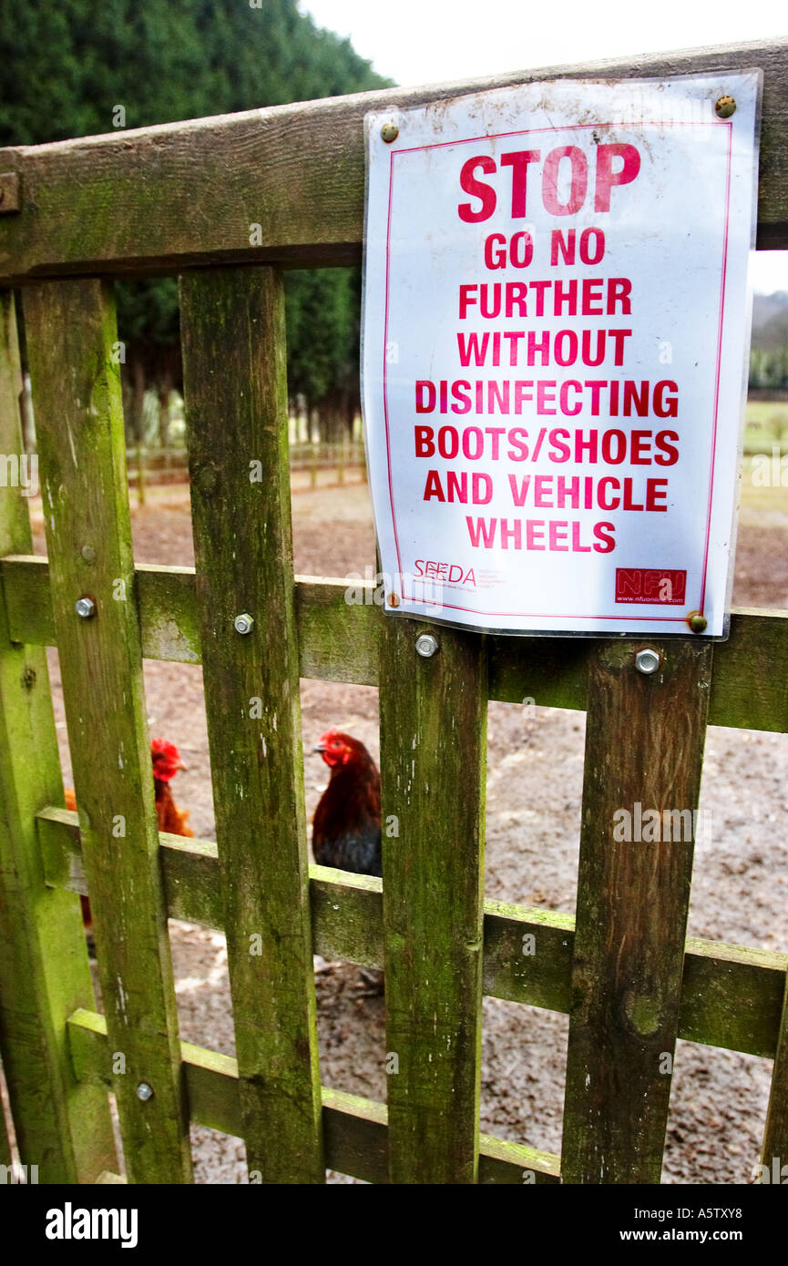 Keep Out. Warning signs to protect bird flocks in Surrey Stock Photo ...