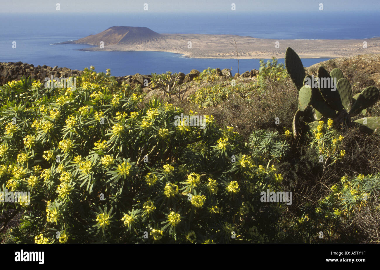 Mirador del Rio Canary Islands viewpoint at the northeast coast Stock ...
