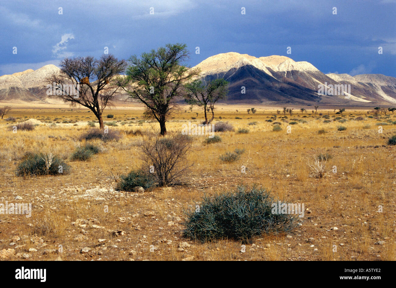 Khomas Highland Namibia Stock Photo - Alamy