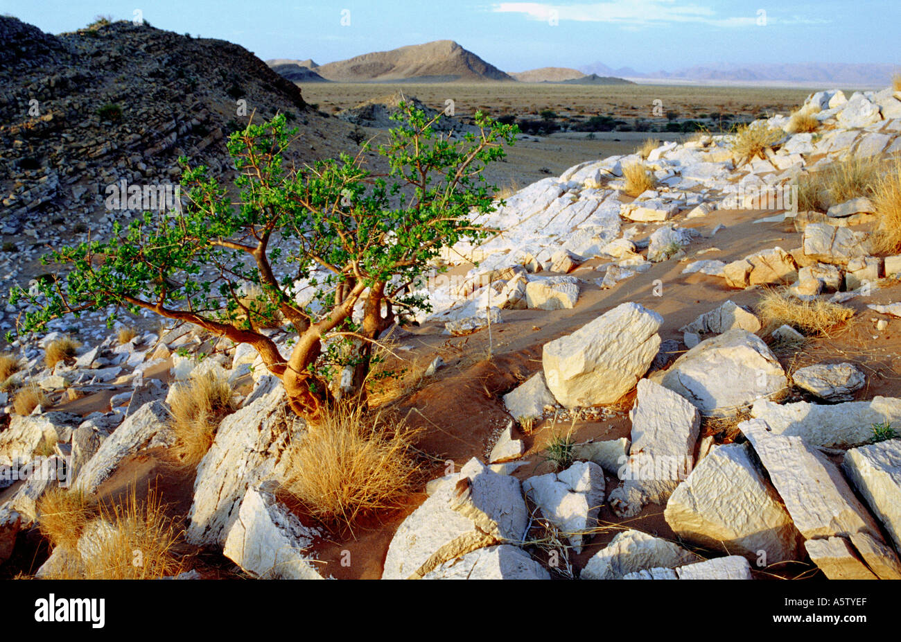 Marblemountain in the Namibdesert Namibia Stock Photo - Alamy