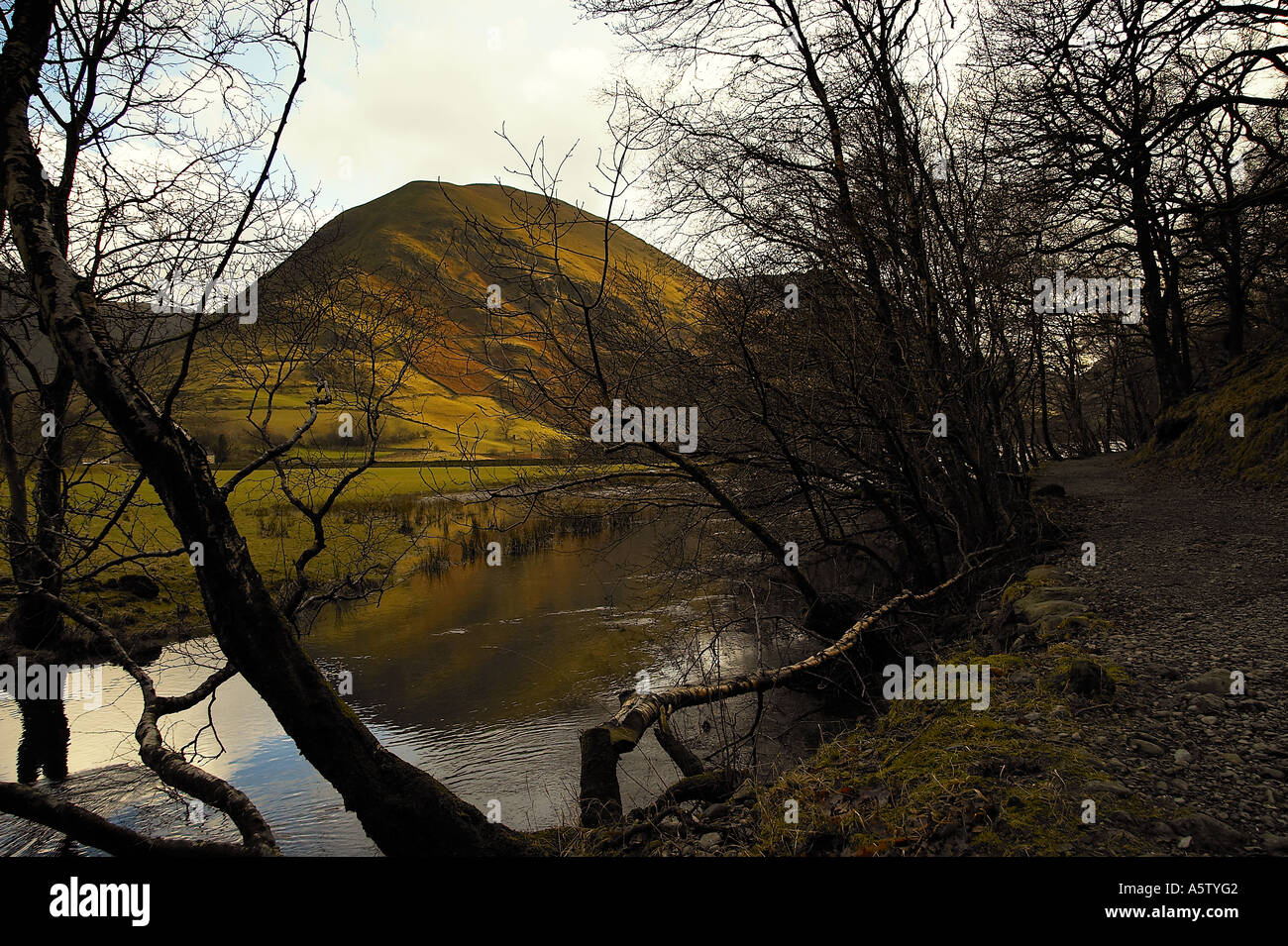 Harrison dodd hi-res stock photography and images - Alamy