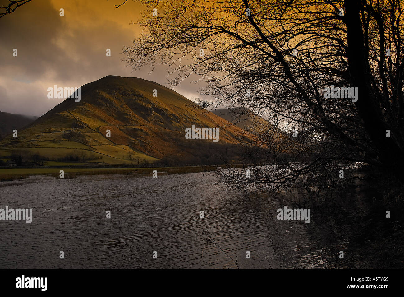 Harrison dodd hi-res stock photography and images - Alamy