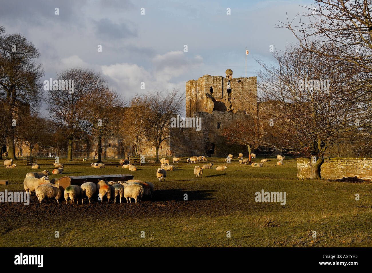 Ruins of brougham castle hi-res stock photography and images - Alamy