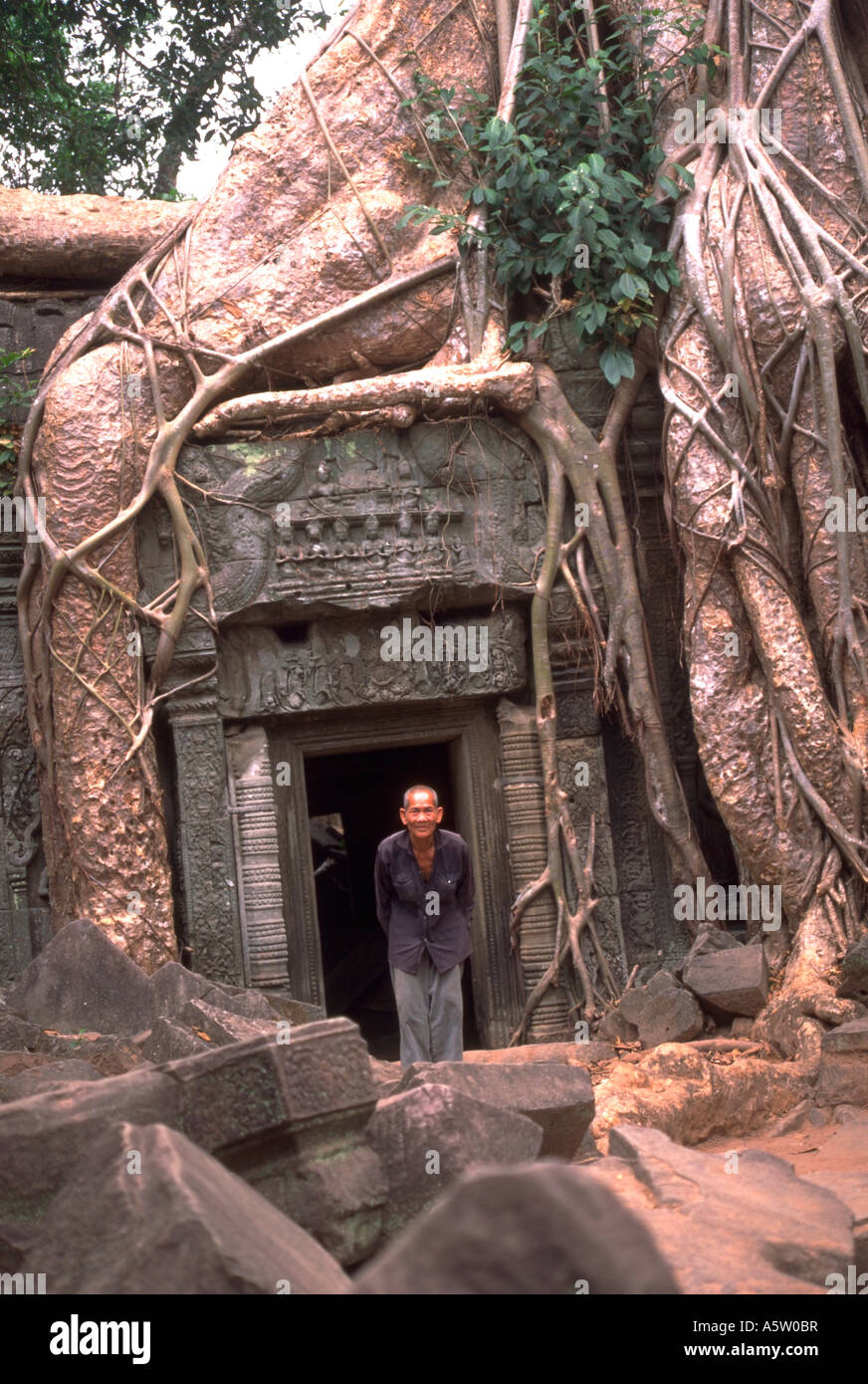 Antique tree system hi-res stock photography and images - Alamy