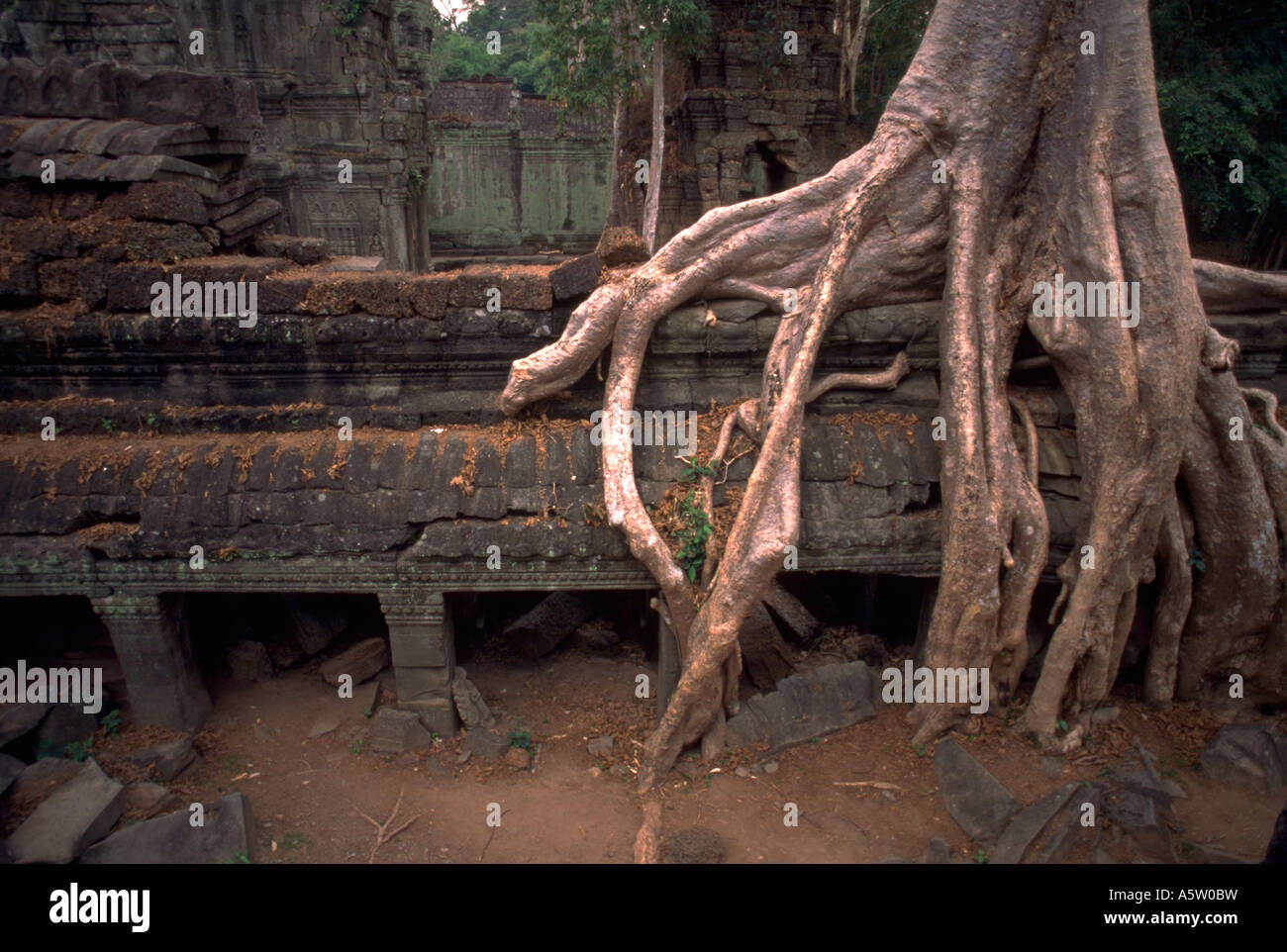 Holy communion rites hi-res stock photography and images - Alamy
