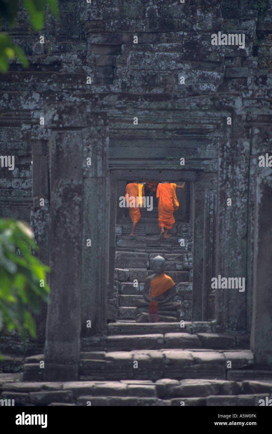 Buddha Skeleton High Resolution Stock Photography and Images - Alamy