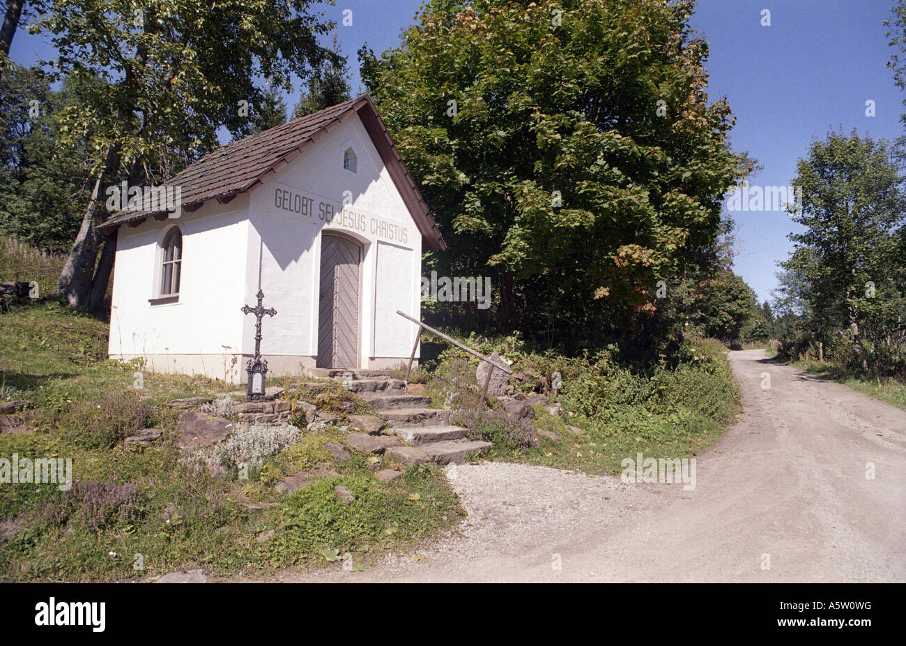 Bucina hi-res stock photography and images - Alamy