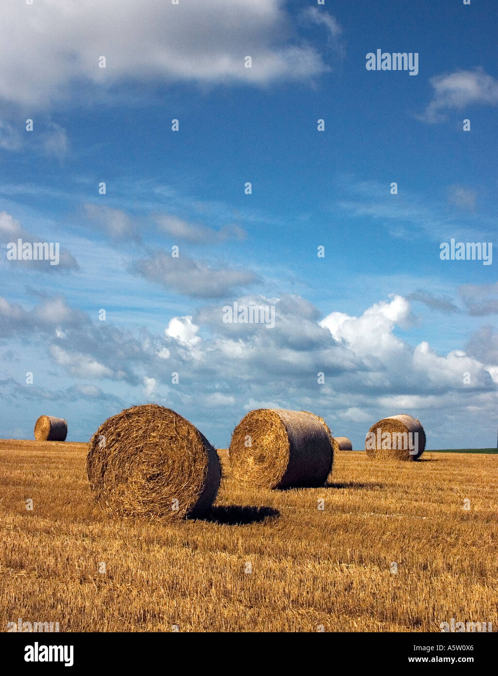 Classic English landscape with harvested straw Hay-bales Stock Photo ...